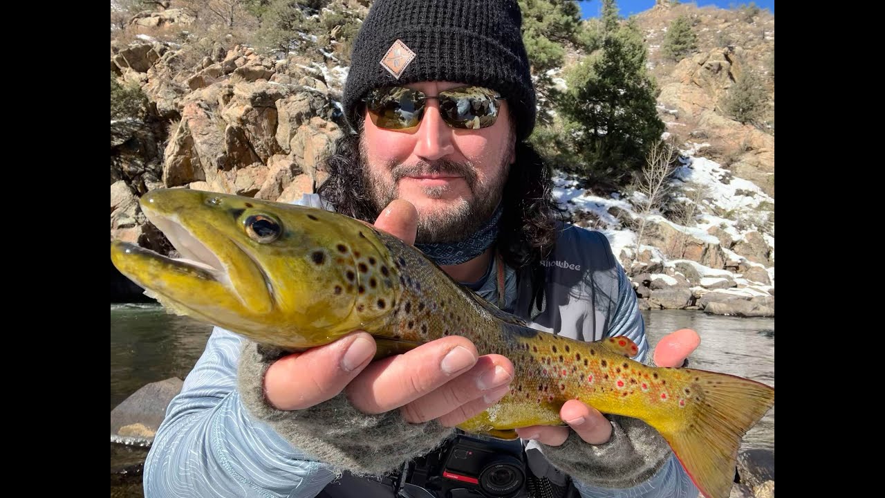 Waterton Canyon 16 Brown Trout - November 2024 - YouTube