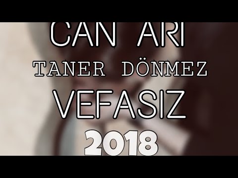 Rüzgar -vefasız /2018 CAN ARI  TANER DÖNMEZ