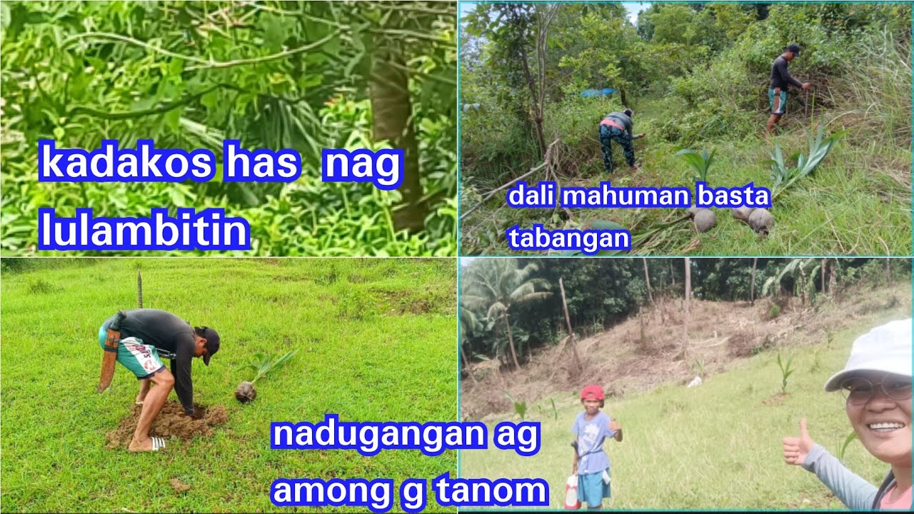 Naay nag ingon hapon na kuno magtanom ug lubi - YouTube