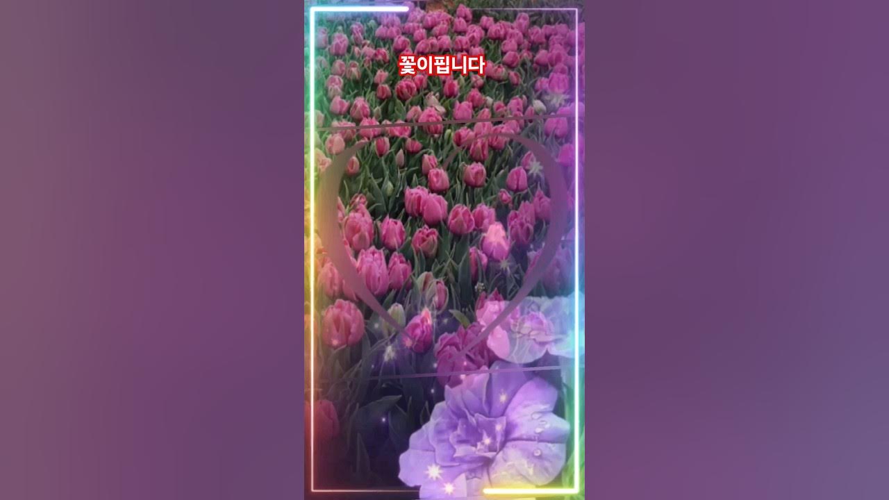 사랑에 꽃이핍니다 💕 박서진 Youtube