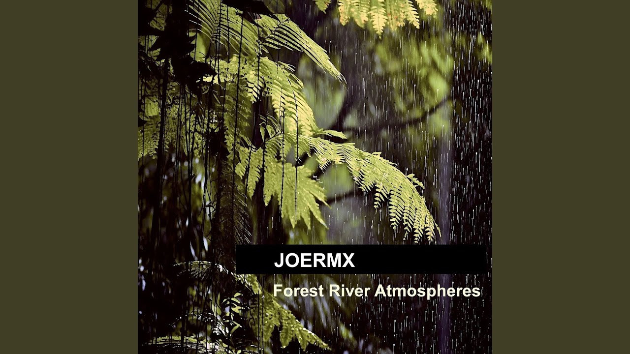 River Near Forest Clearing - YouTube