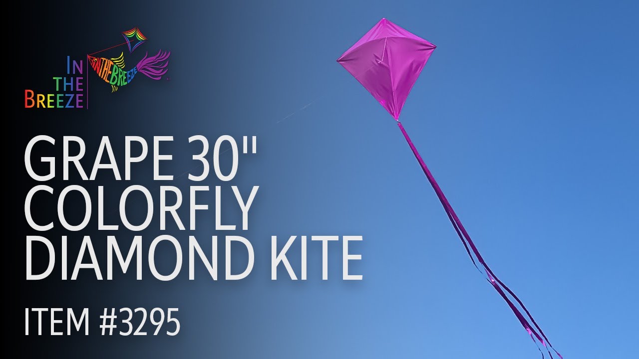 Grape 30" Colorfly Diamond Kite - In the Breeze - YouTube