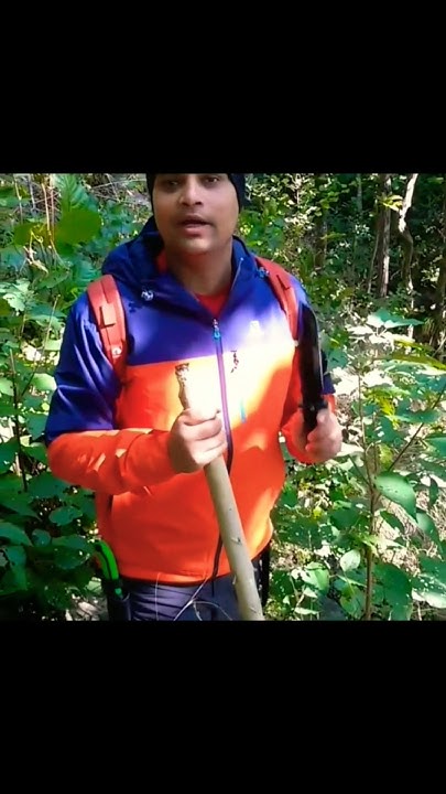 Motivation Attitude Love Shayari Life Youtube Beargrylls Viral India Reels Youtube