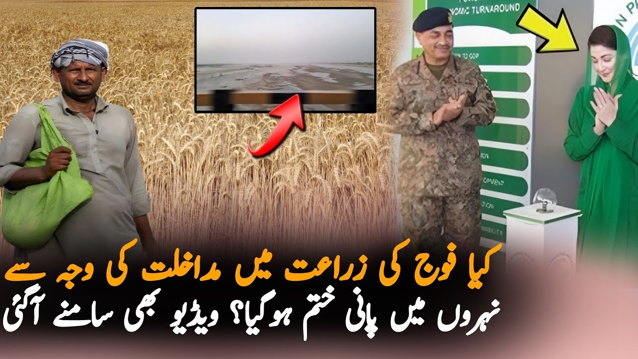 Farmers Cry Having No Water Fior Thier Wheat Crop In Punjab,Report ...