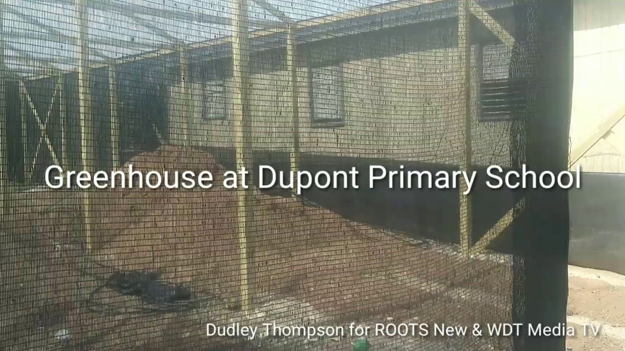 WDT Media TV Greenhouse under construction at DuPont Primary School ...
