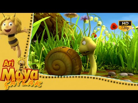 ARI MAYA | Çatlak! | Türkçe Dublaj HD | 1 Sezon 8-Ci Bölüm | Arı Maya Çizgi Filmi 🐝