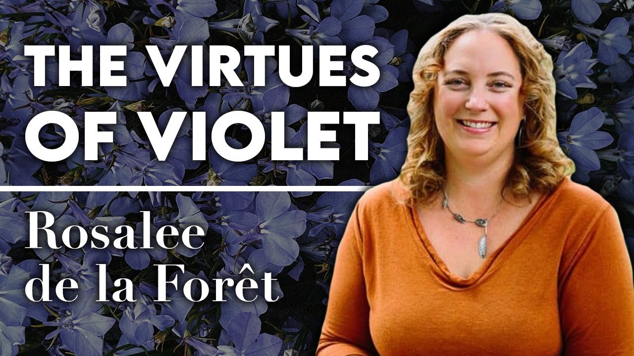 VIOLET: Benefits, Uses & Virtues | Rosalee de la Forêt - YouTube