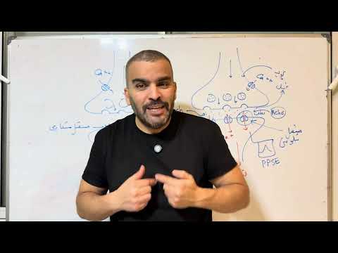 تمرين الاتصال العصبي المشبك الميسكاريني https://والتيكوتيني 