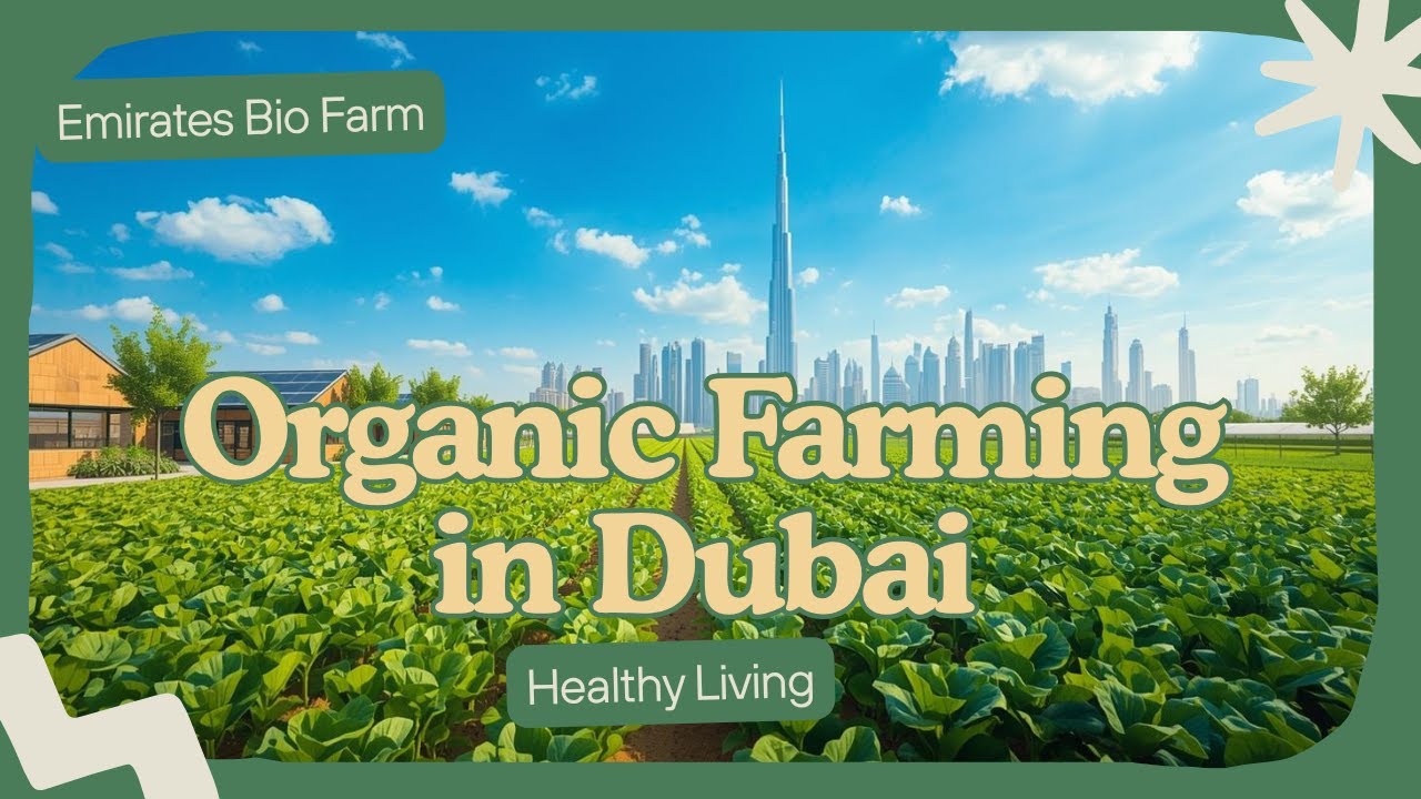 Emirates Bio Farm Organic Farming, Sustainability & Healthy Living I ...