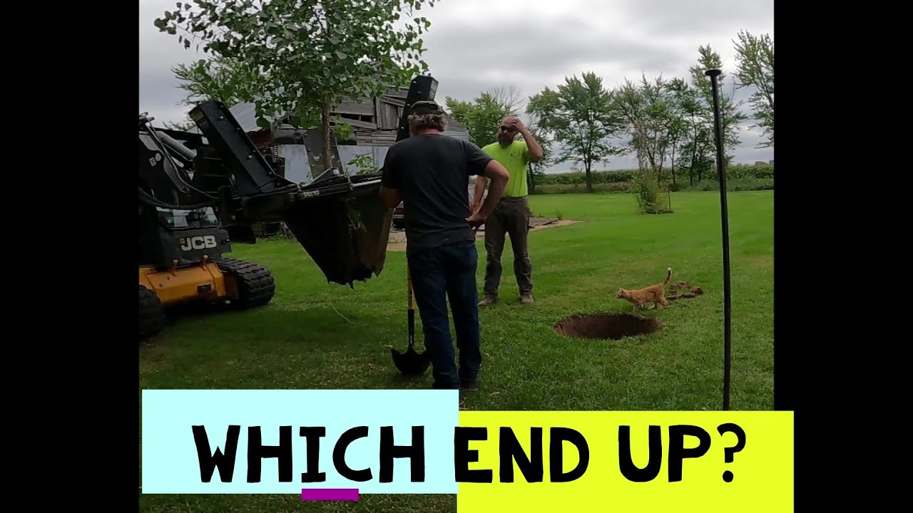 Moving trees with a 36'' tree spade and 260T JCB - YouTube