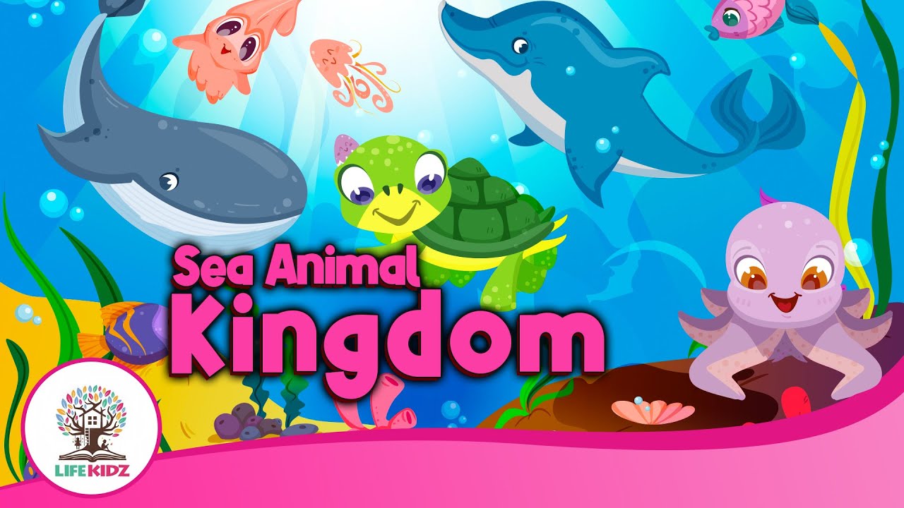 Sea Animal Kingdom: An Educational Journey for Kids | Lifekidz #54 ...