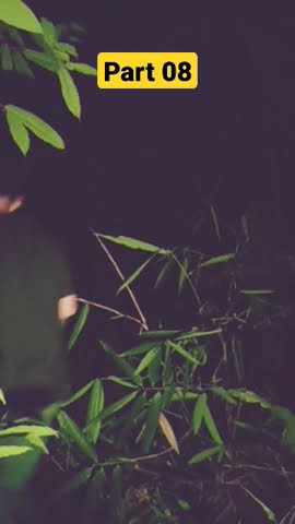 SILUMAN TOKEK - YouTube