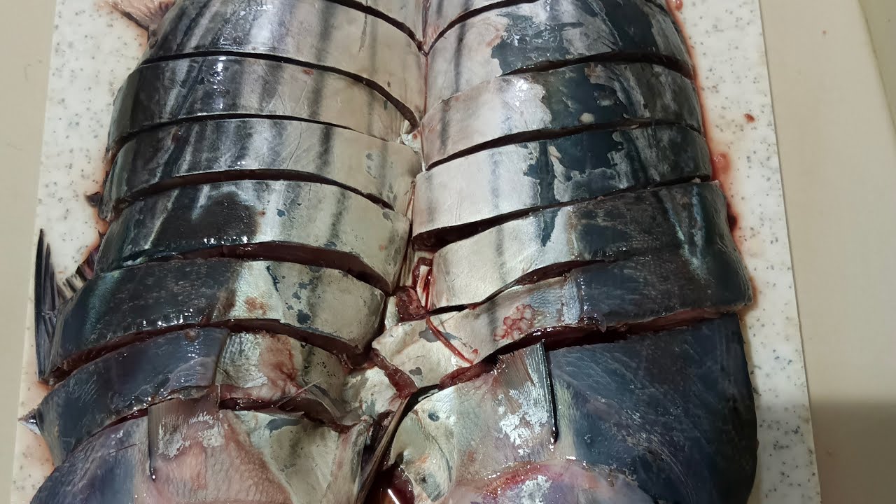 CLEANING AND CUTTING FISH TULINGAN #ASMR SHORT VIDEO ASMR - YouTube