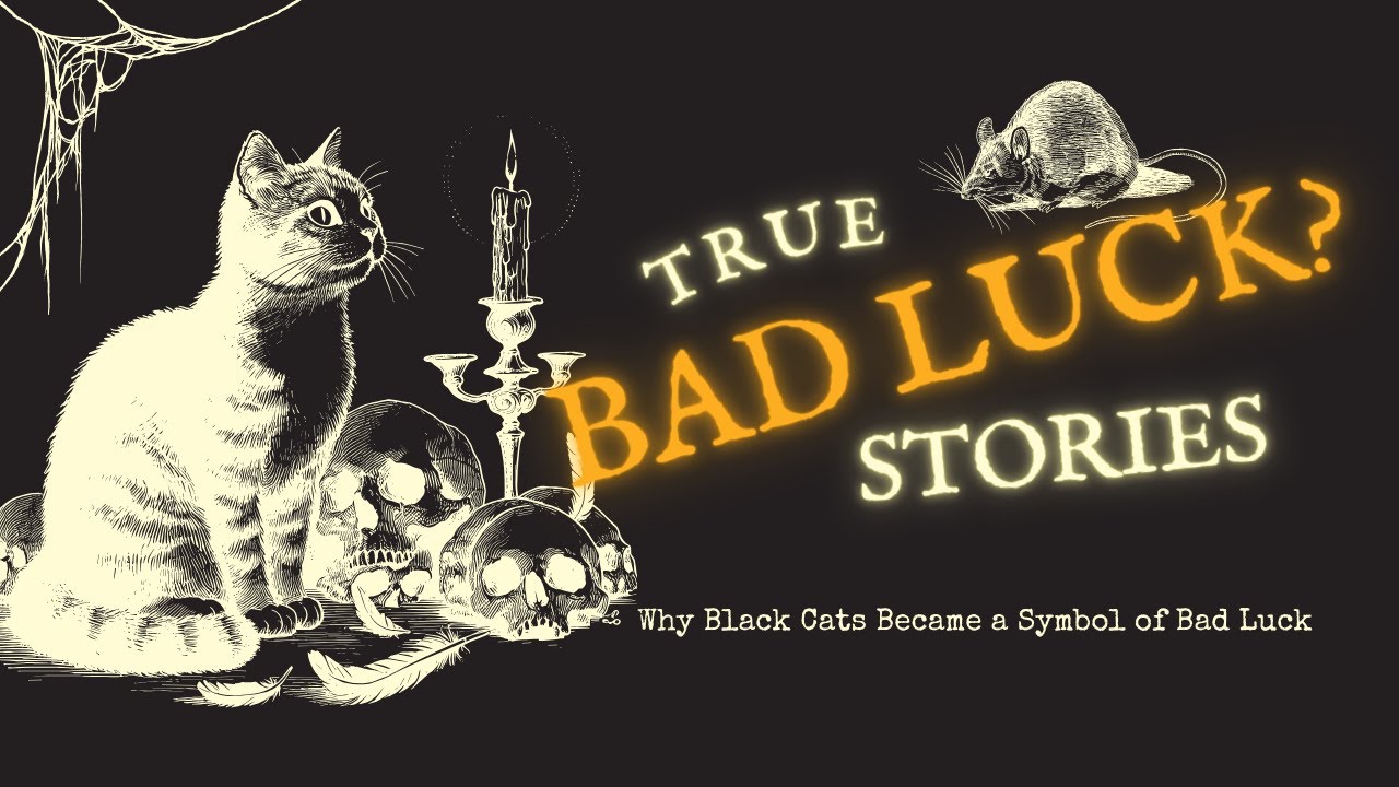 Why Black Cats Became a Symbol of Bad Luck (The Dark Truth) - YouTube