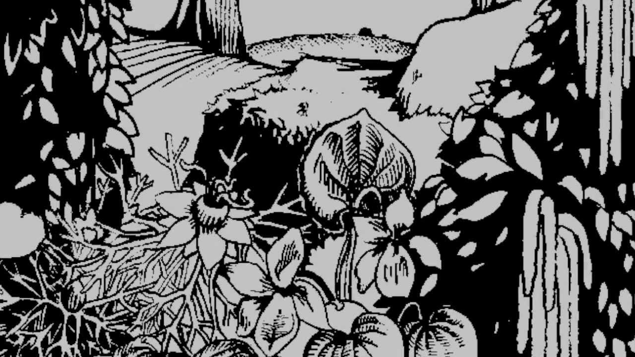 "God" by Amy Leach | Book Video for THINGS THAT ARE - YouTube