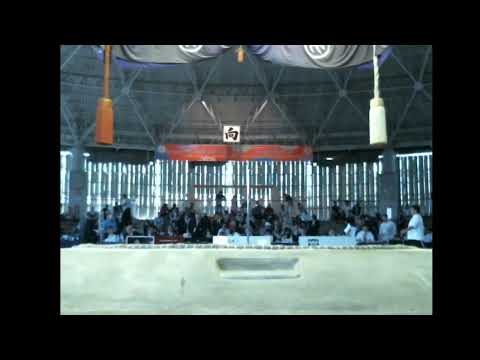 2019 World Sumo Championships (Part 1) - YouTube