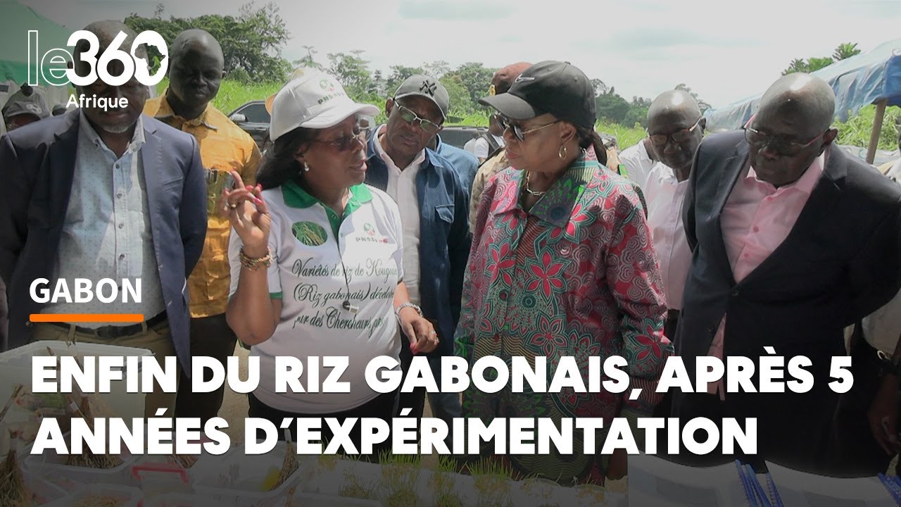 Le Gabon se lance dans la production de semence de riz - YouTube