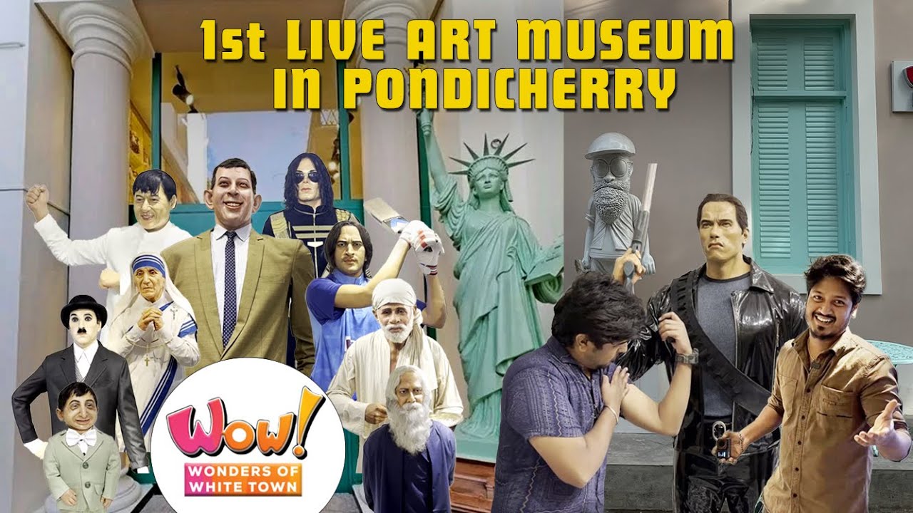 Thala Dhoni at Live Art Museum | Pondicherry | Greatest of all time 🤩 ...