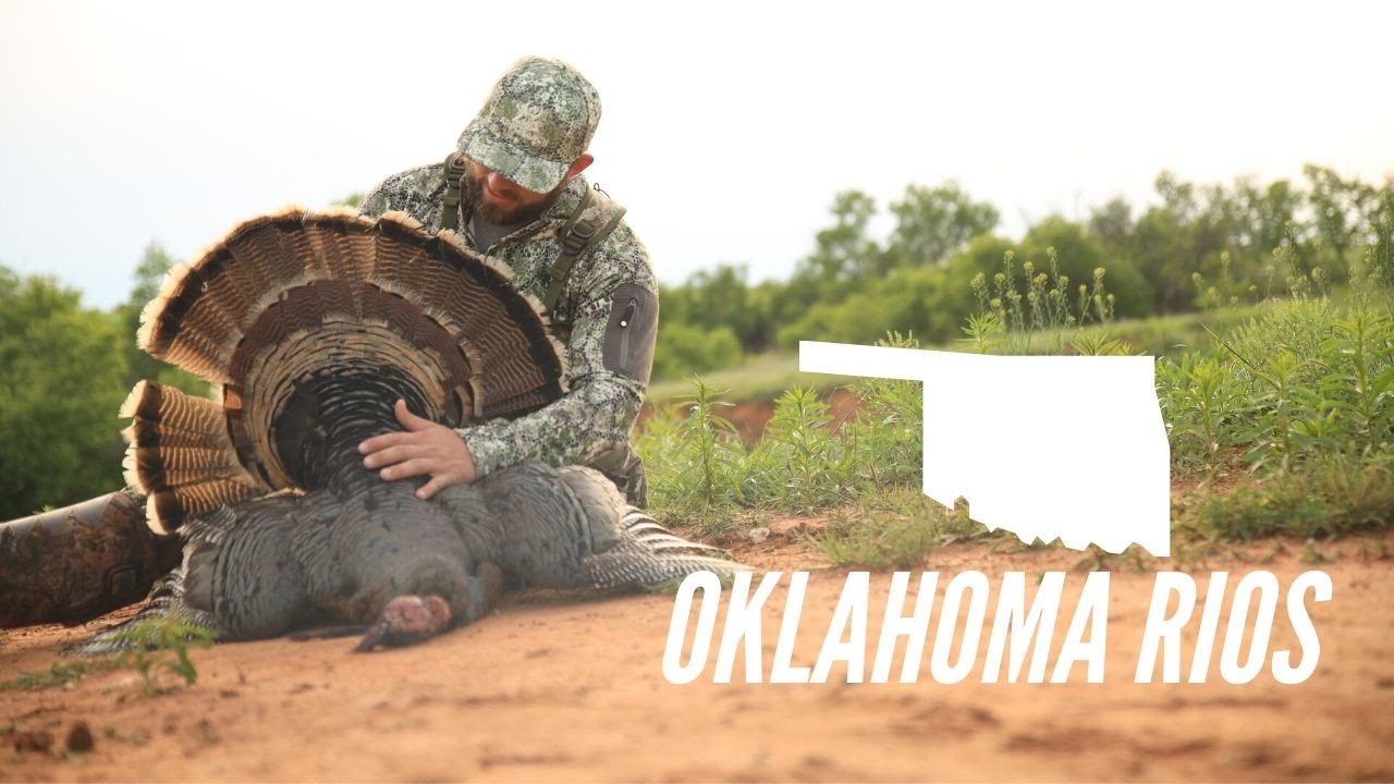 Reaping Rio Turkeys in Oklahoma! - YouTube