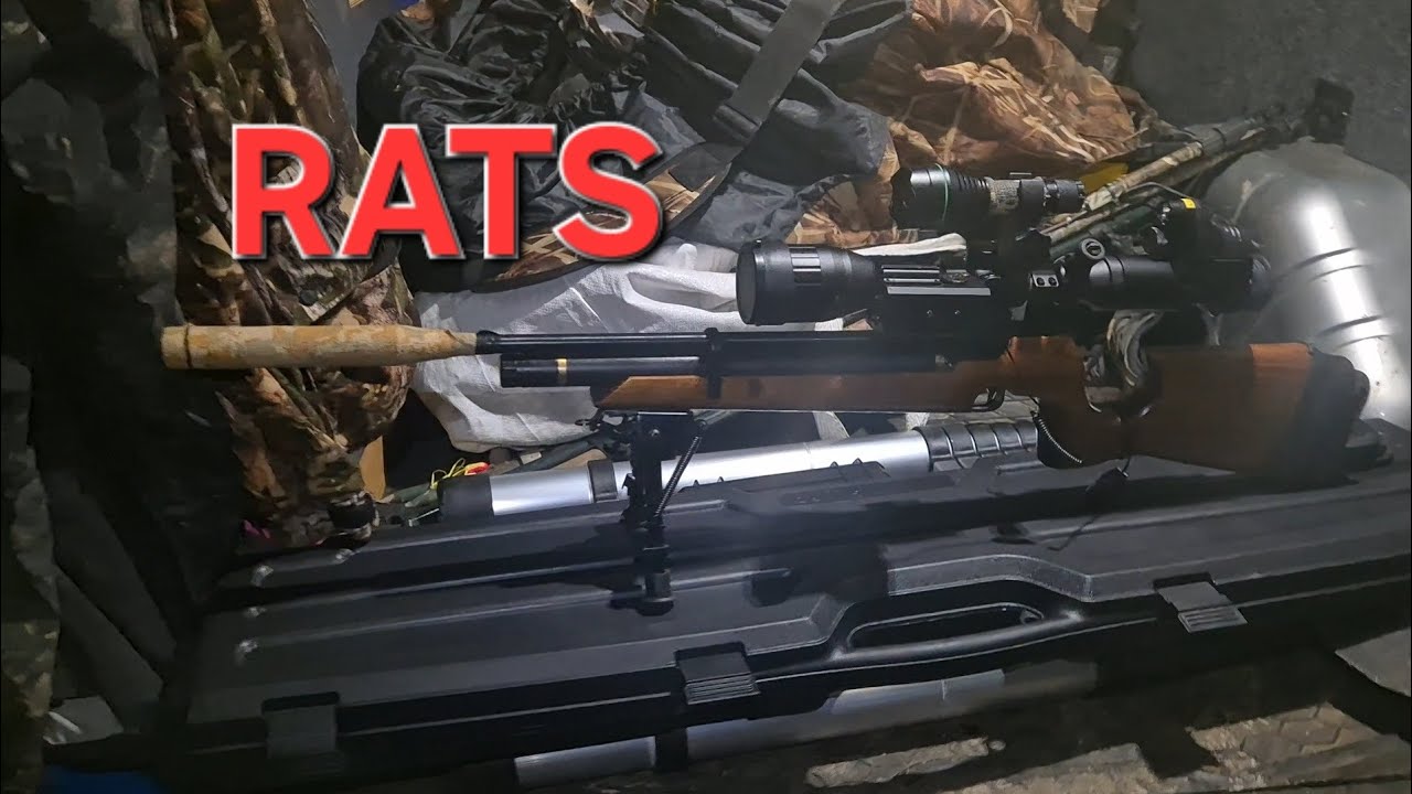 RAT SHOOTING NIGHT VISION - YouTube