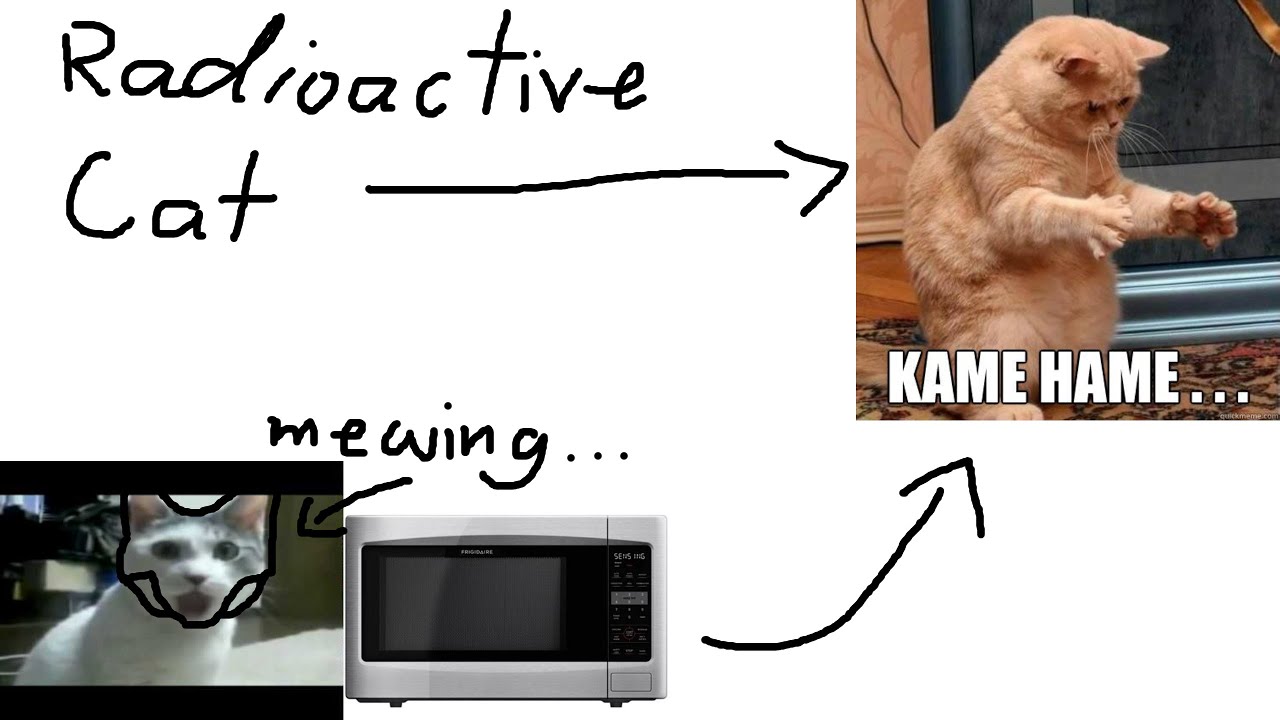 microwaved cat turn into radioactive cat ver.1 - YouTube
