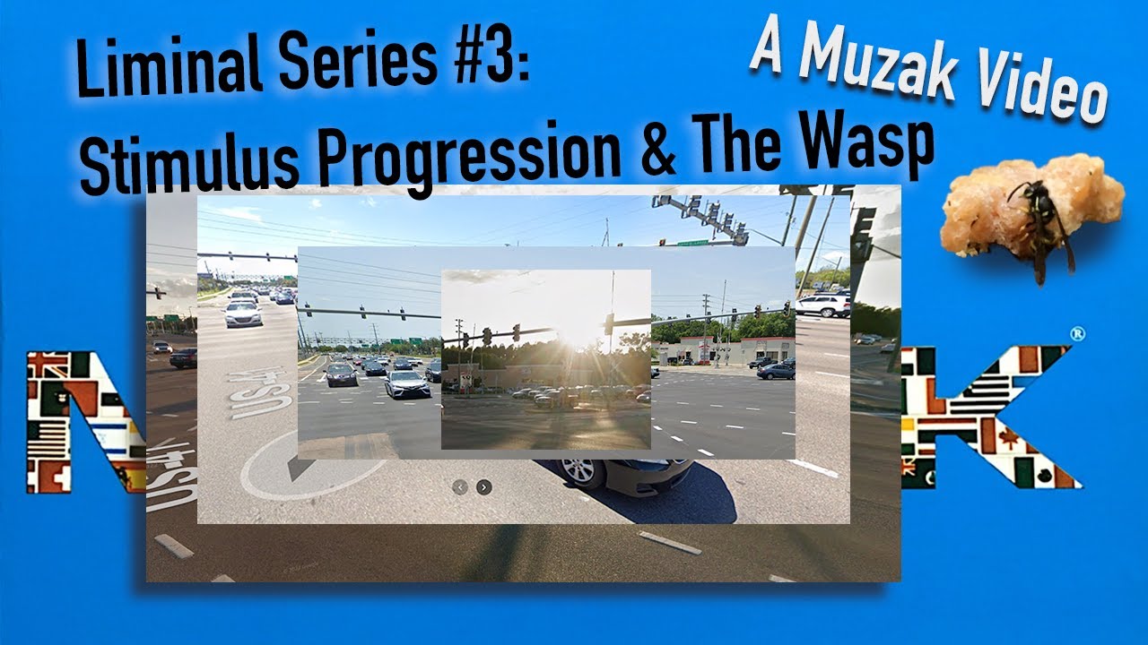 Liminal Series #3: Stimulus Progression & The Wasp. A Muzak Video - YouTube