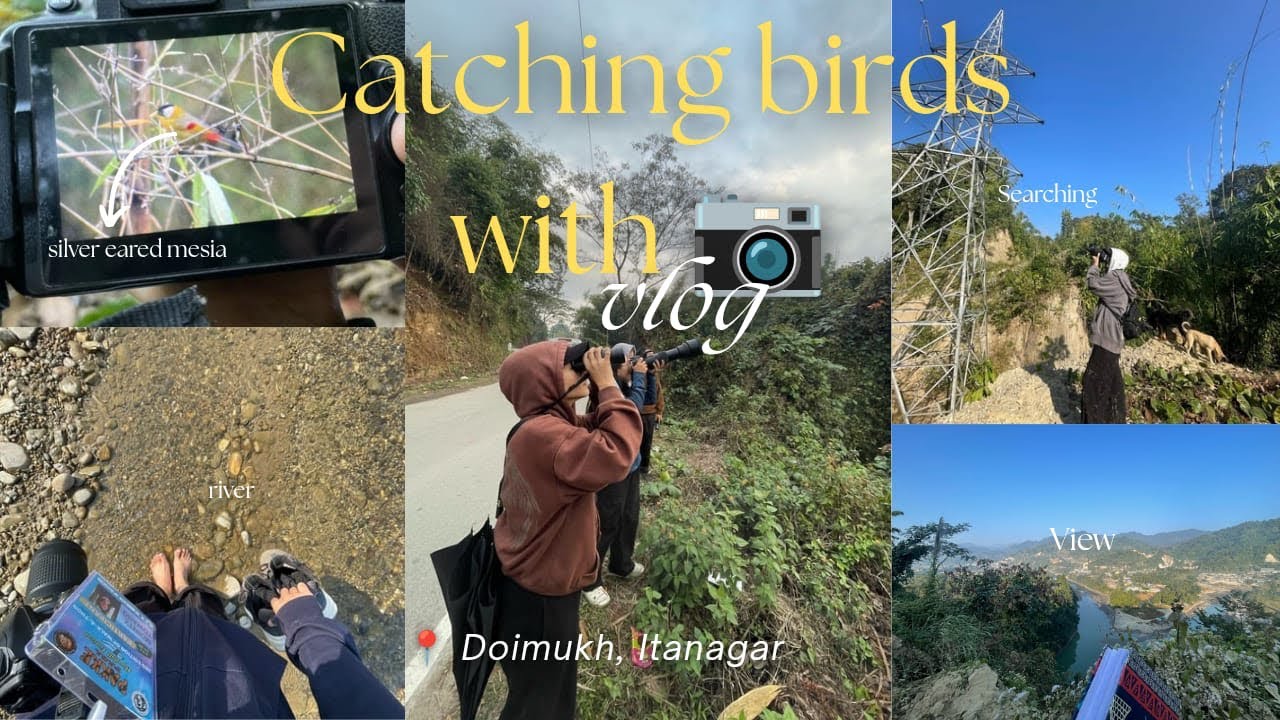 EXPLORING DOIMUKH AREA 📸|| ITANAGAR || MOINTY TOWANG - YouTube