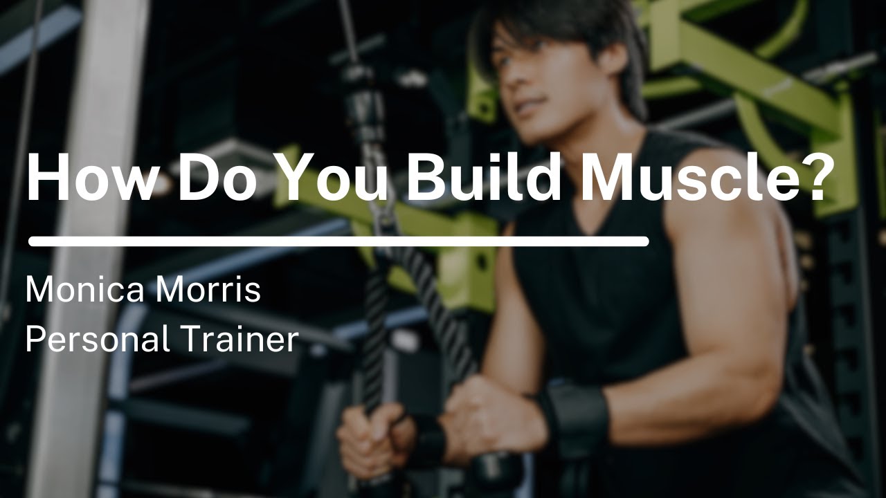 How Do You Build Muscle? - YouTube