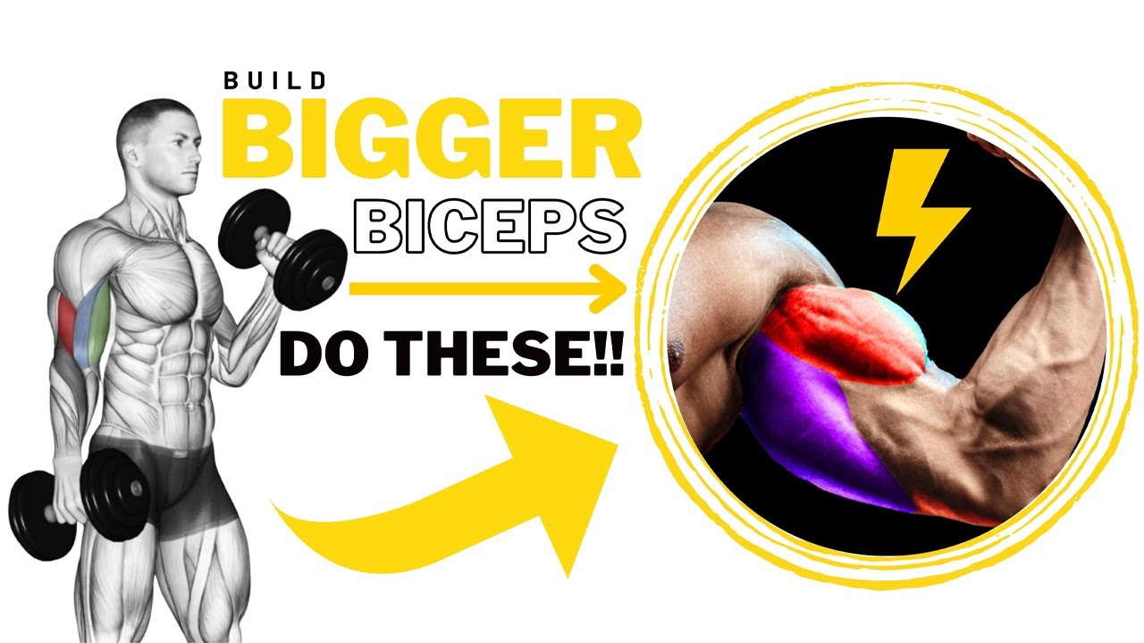 Biceps workout at gym for beginners!! 💪 Build Bigger Biceps workout 5 ...
