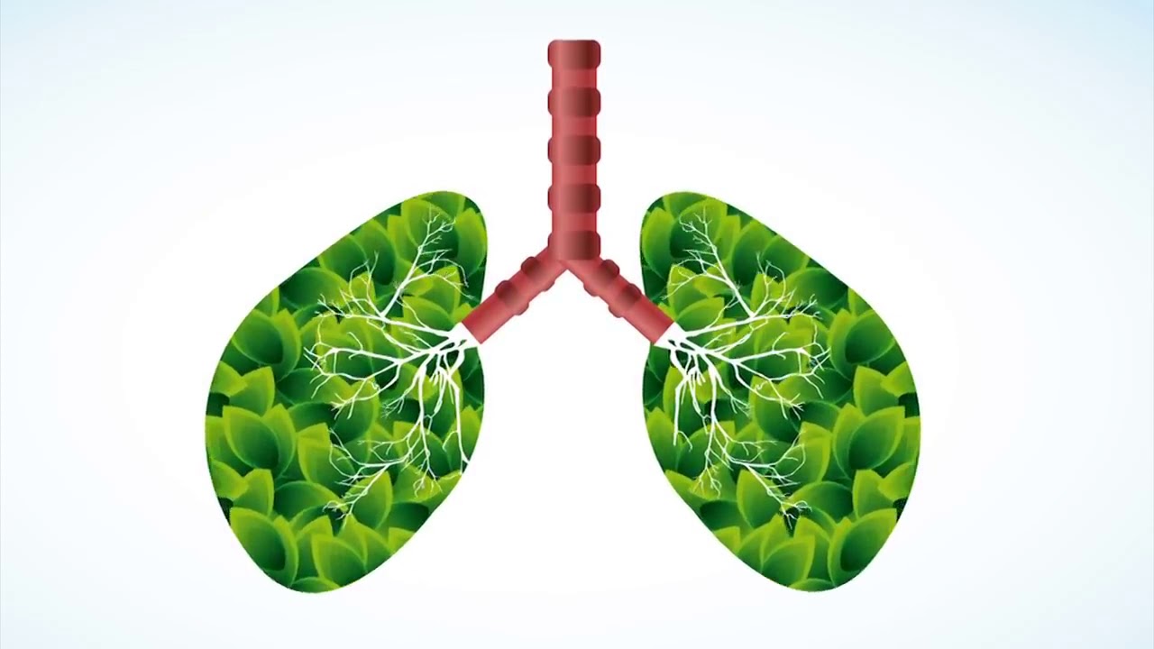 Make a Habit Of "1 CUP A DAY CLEARS MUCUS AWAY" Dr.Alan Mandell, DC ...