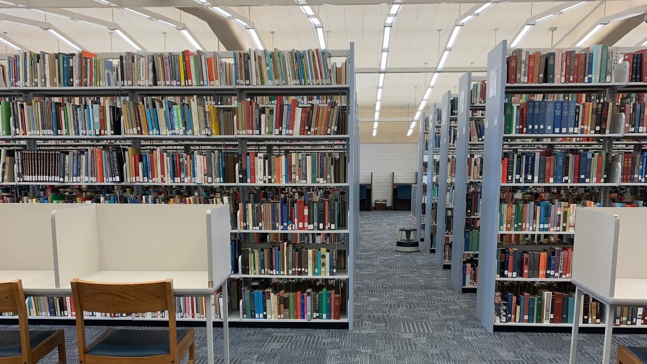 Book Shelf Dusting and Organization - YouTube