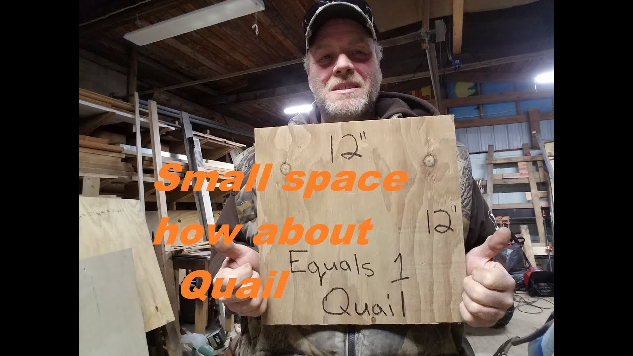 Quail living space (small space try quail) - YouTube