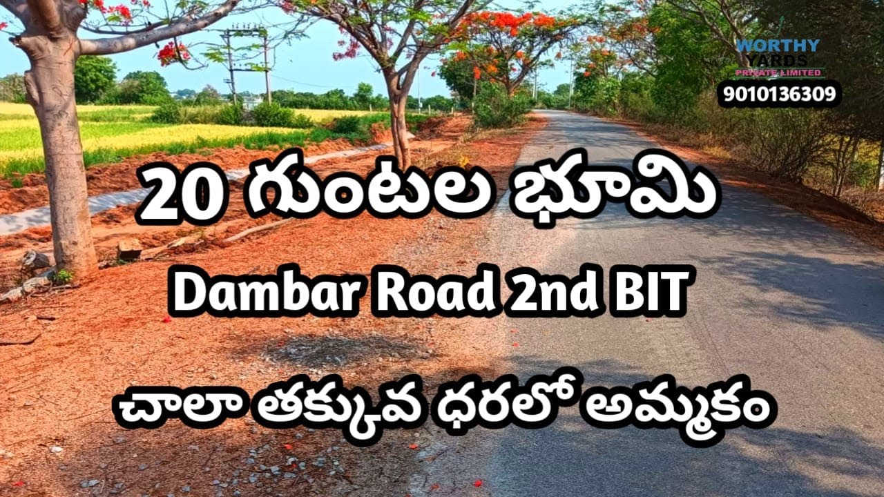 20 Guntas Agriculture Land For Sale | Dambar Road BIT | #agriculture # ...