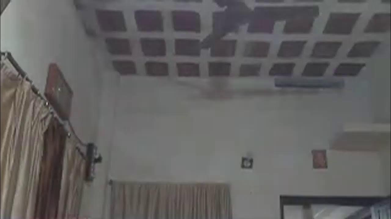 D4all vlog - YouTube