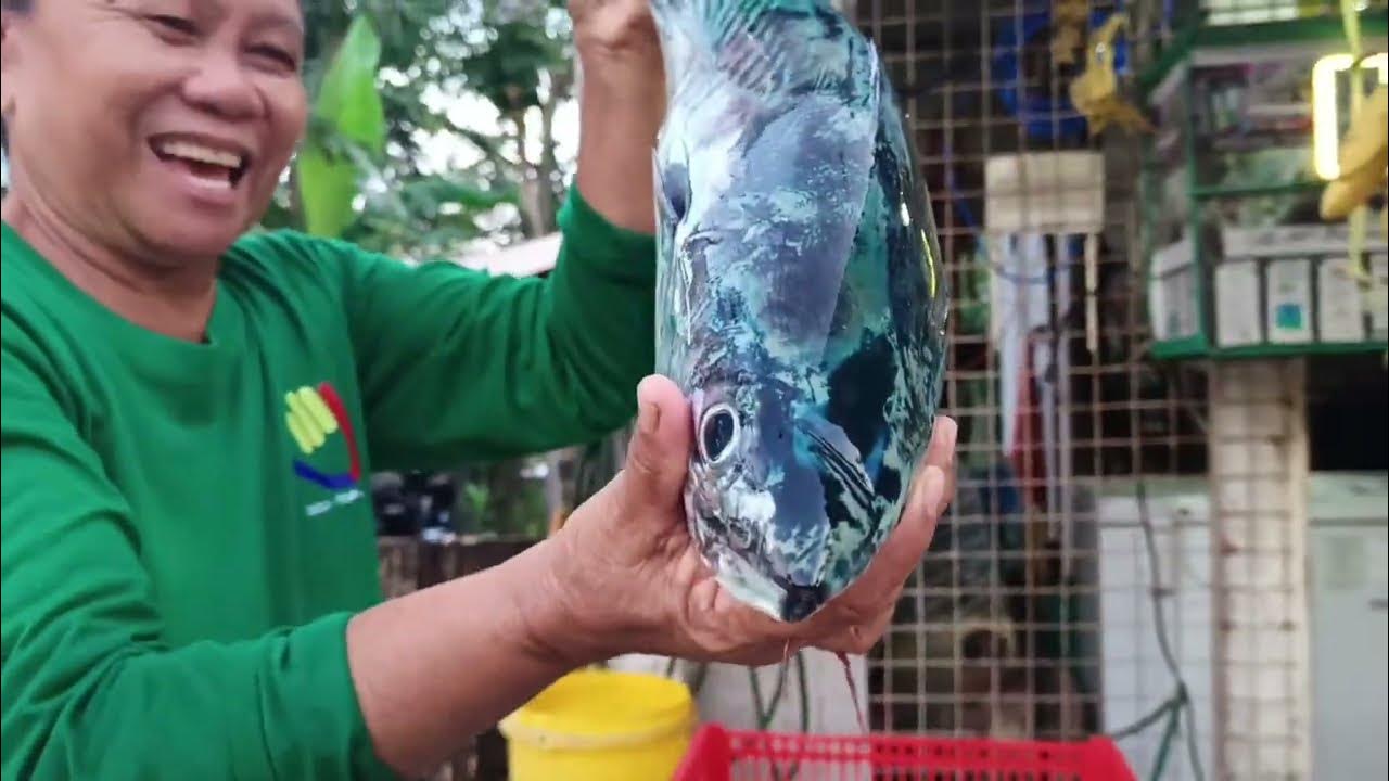 Nangisda si Kananay kasama si Kasister Merry - YouTube