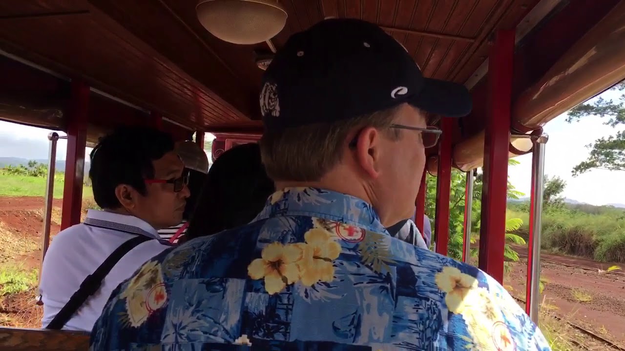 Dole Plantation Pineapple Express Train Ride - YouTube