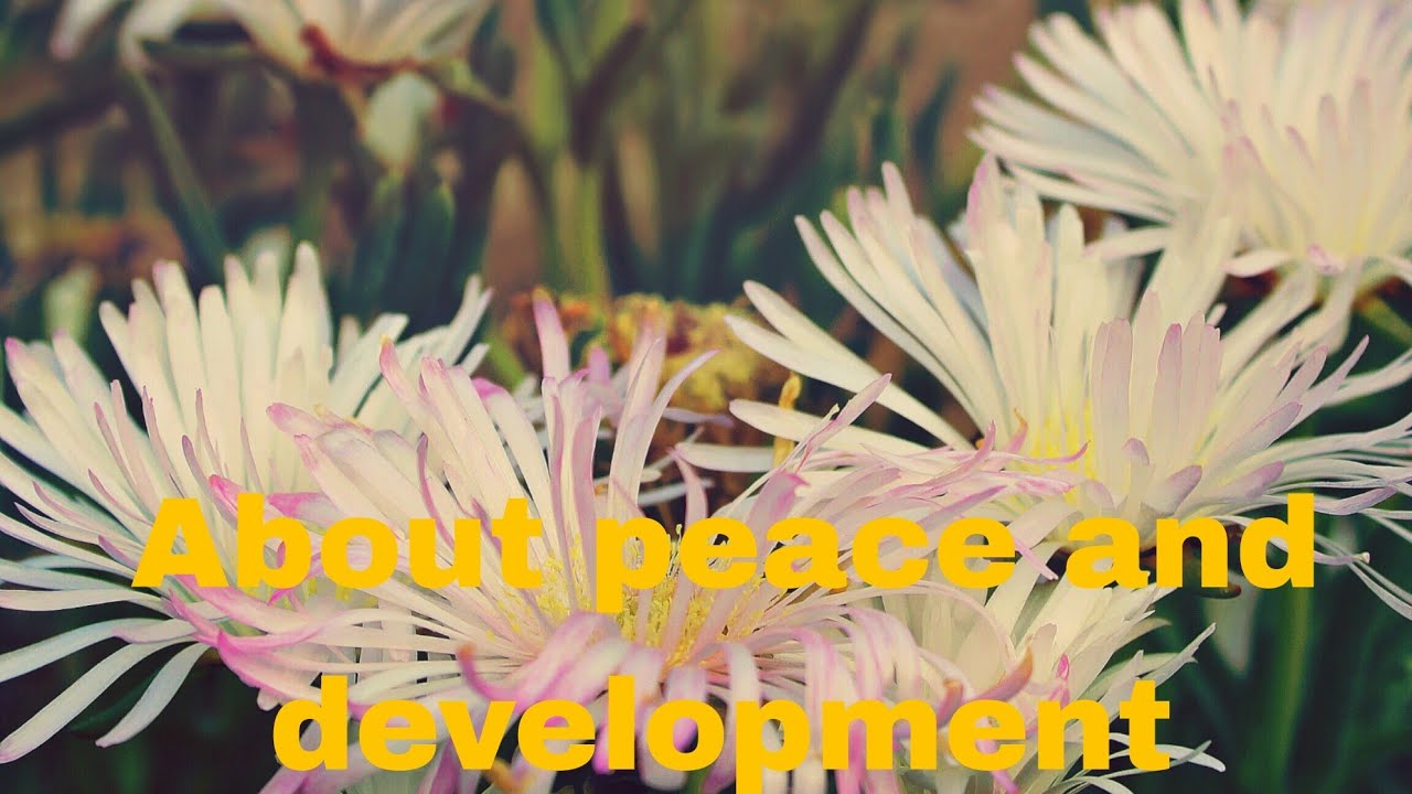 BJP atum rat aphan kethan peace and development puke peni anta thek dam ...