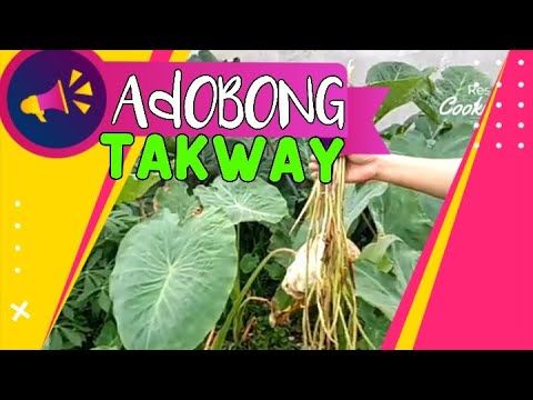 FARM TO TABLE | ADOBONG TAKWAY - YouTube