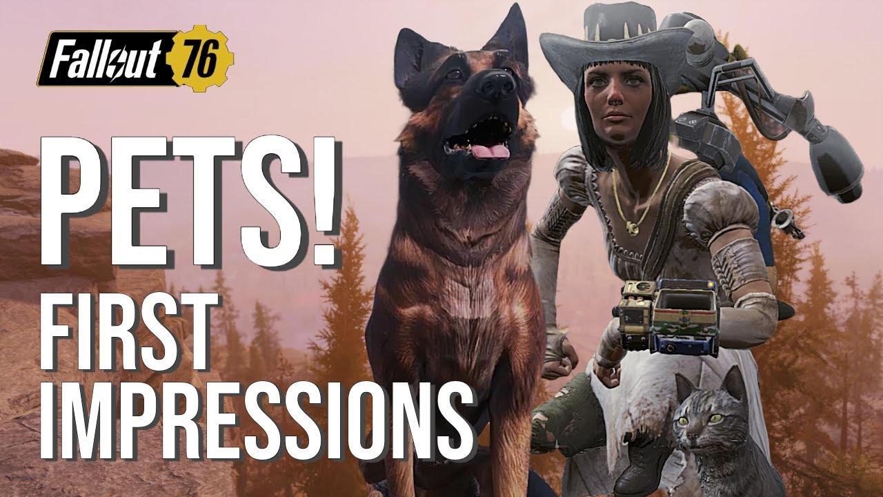 Fallout 76 PTS Pets First Impressions - YouTube