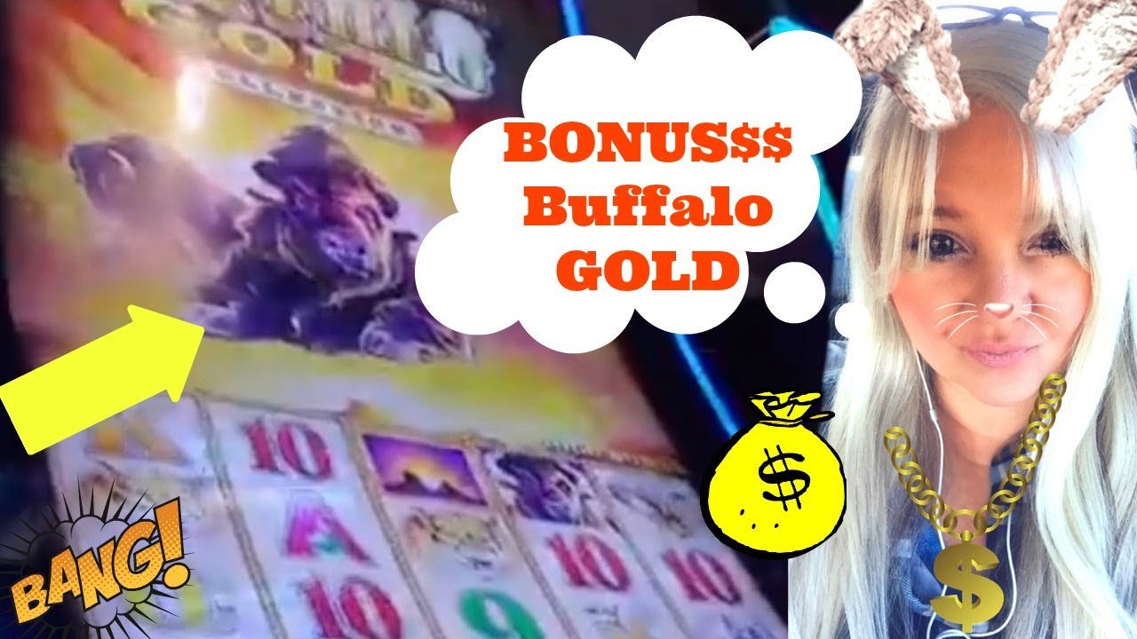 $$$BIG WIN on Buffalo Gold Slot Machine Bonus Tunica Sam’s Town Casino ...