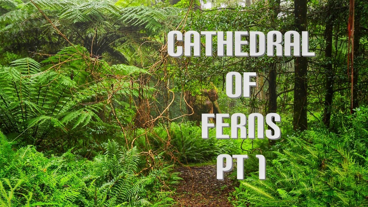 Cathedral Of Ferns Mount Irvine Pt 1 - YouTube