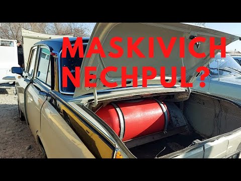 MASKIVICH NARXLARI NECHPUL. nega maskivichlar qimmat