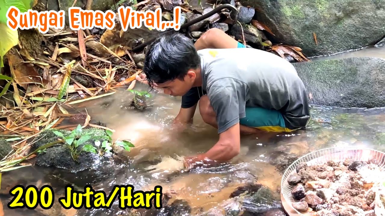 SUNGAI KERAMAT,..! PENDULANG EMAS TRADISIONAL AUTO KAYA || 200 JUTA PER ...