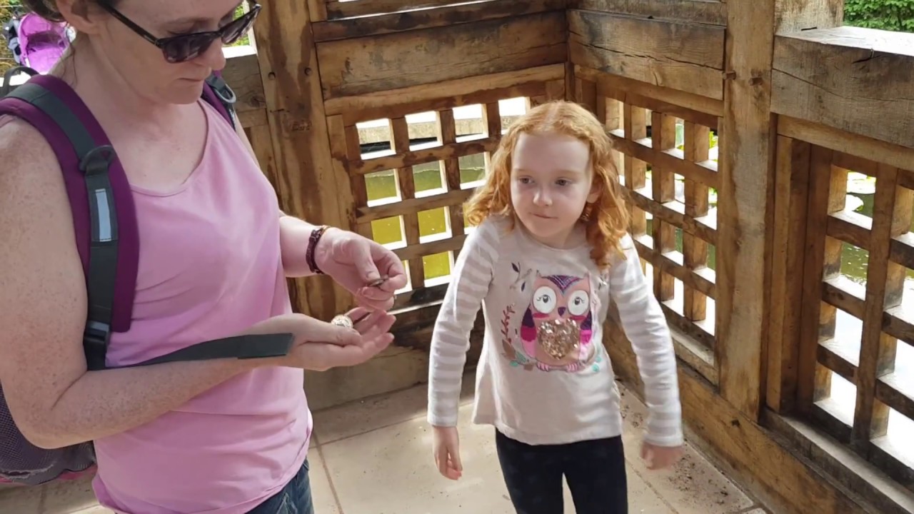 Dumfries House play park visit - YouTube