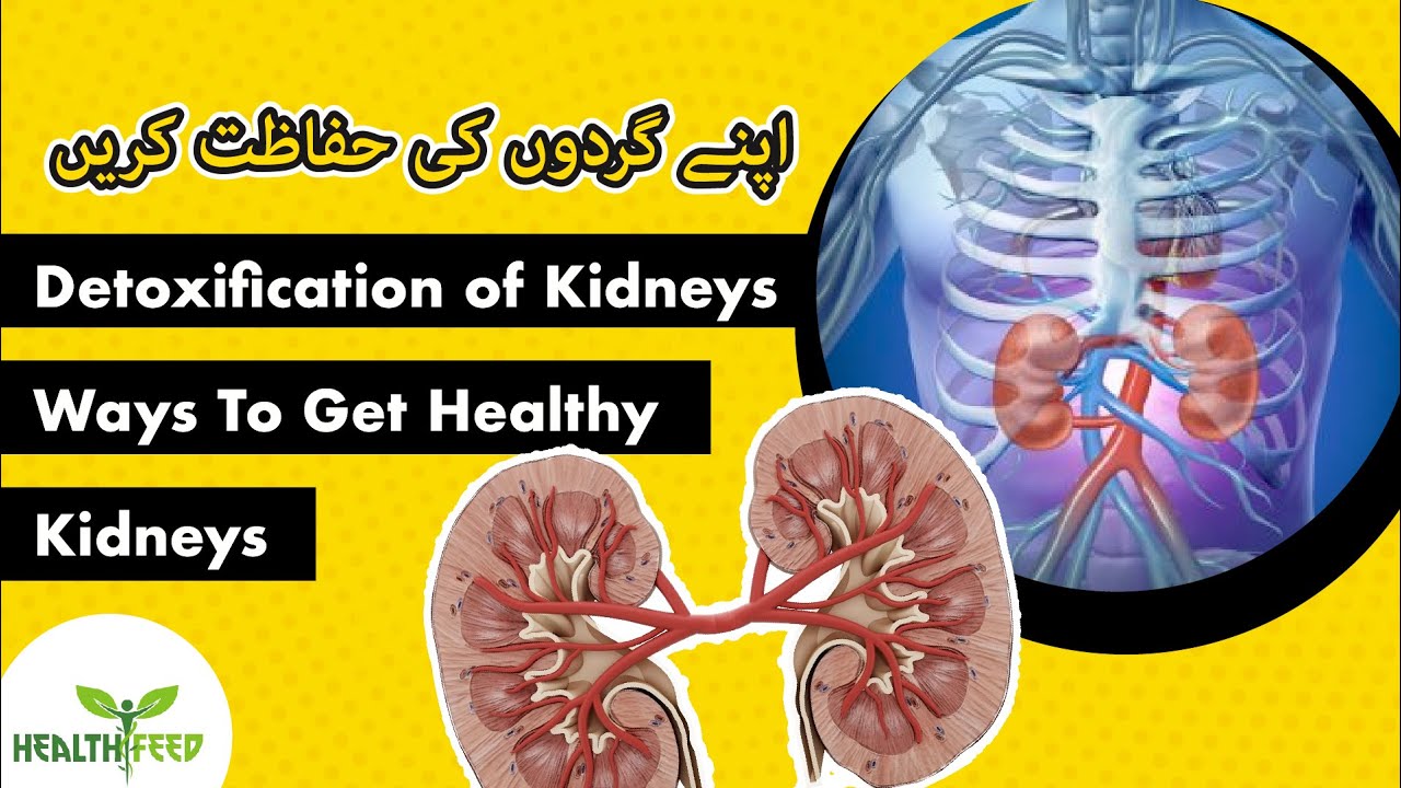 Detoxification of Kidneys | Ways To Get Healthy Kidneys | Natural foods ...
