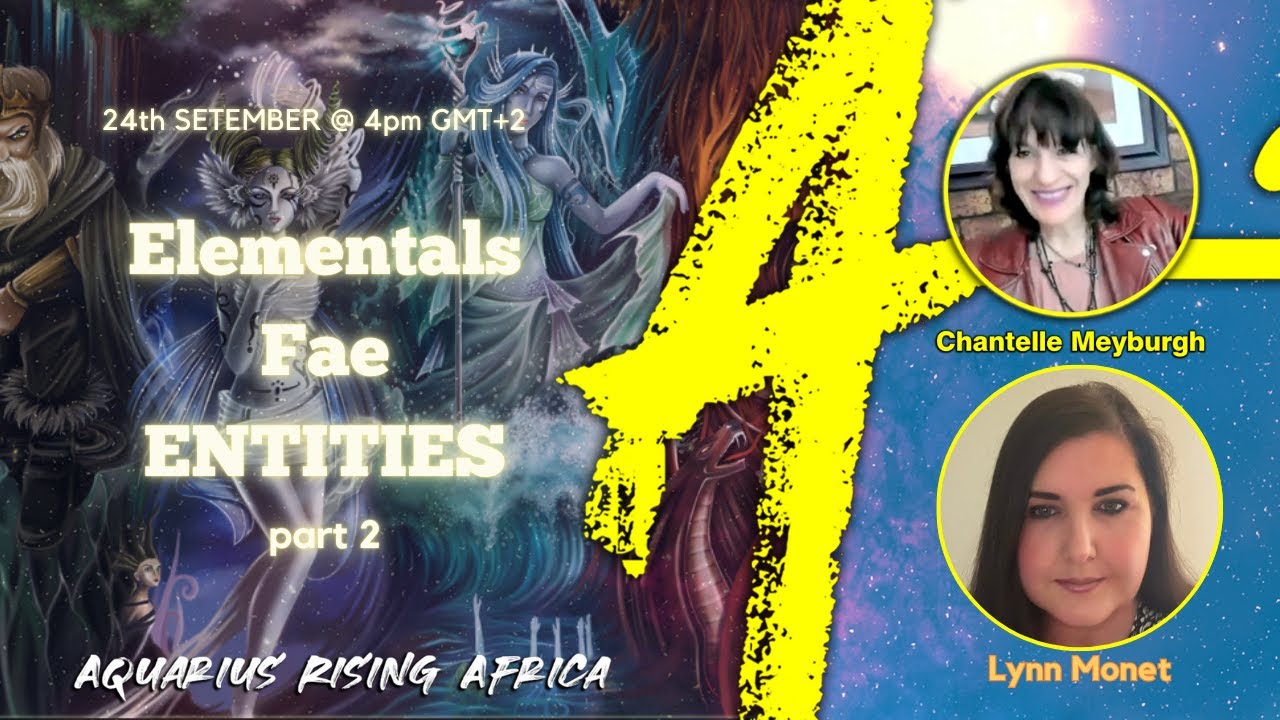 ELEMENTALS, FAE & ENTITIES part 2 - with LYNN MONET - YouTube