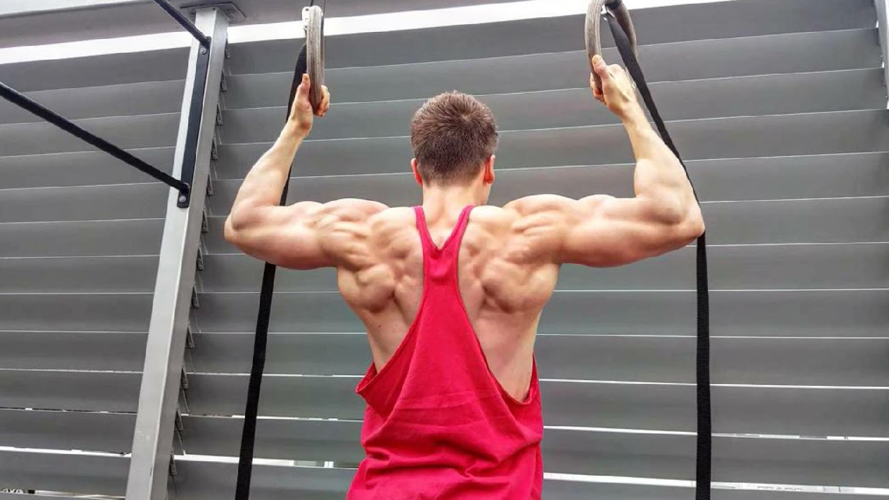 Build A Better Back | Full Workout | Jordan Metcalfe - YouTube