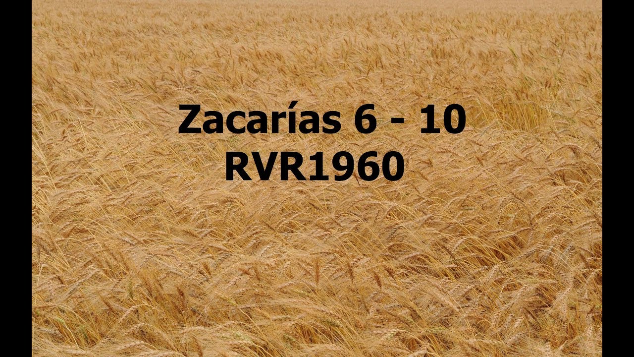 La Biblia hablada/Zacarias 6 - 10 - YouTube