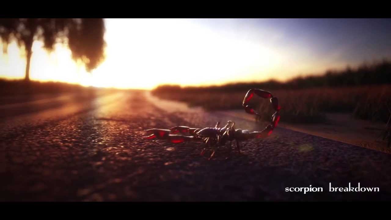 Scorpion Breakdown - YouTube