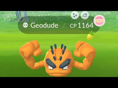 100iv Shiny Alolan geodude encounter and evolution on Community Day ...
